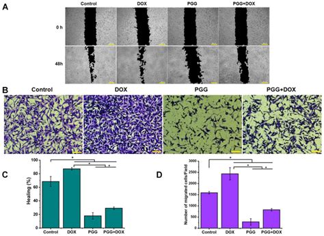 Pentagalloyl Glucose From Bouea Macrophylla Suppresses The Epithelial Mesenchymal Transition And