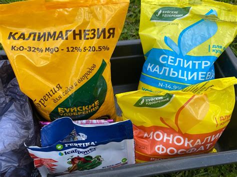 Чтобы петуния цвела пышно и долго кормите ее ТАК Простая схема подкормок Волшебная грядка Дзен