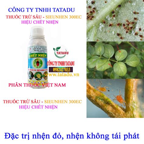 Sieunhen 300ec HiỆu ChẾt NhỆn TrỊ NhỆn ĐỎ NhỆn VÀng NhỆn TrẮng