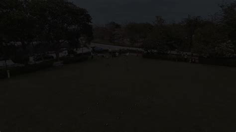 [video] saksham singh on linkedin my role for a drone light show and