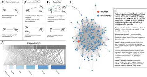 Francesca Latronico On Linkedin Epidemiological Connectivity Between