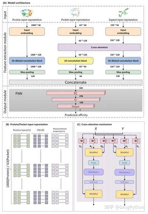 如何看待alphafold在国际蛋白质结构预测竞赛（casp）上准确预测蛋白质3d结构？ 知乎