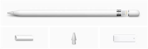 Apple Pencil 1. Generation mit USB-C auf Apple Pencil Adapter und ...