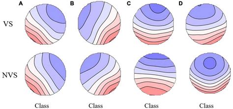 The Spatial Configuration Of The Four Microstate Classes Of The Two