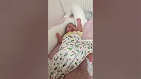 기지개 시원하게 피는 아기 Youtube