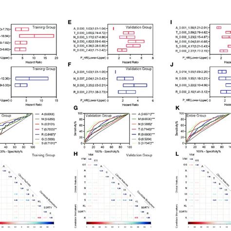 Development And Validation Of The Prognostic Model A E I Risk