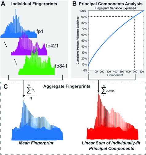 Lower Dimensional Structure Of The Local Connectome Fingerprints A