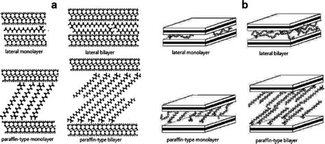 Diagram Showing The Arrangements Of Hdtma In The Interlayer Space Of Download Scientific