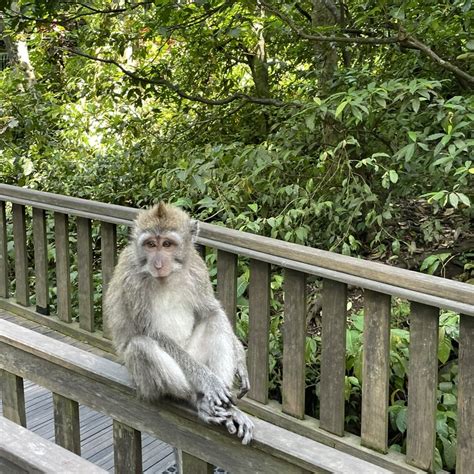 발리 맞춤투어 발리 맞춤 차량 투어 동부남부우붓 마이리얼트립 발리 맞춤투어 발리 맞춤 차량 투어 동부남부우붓 마이리얼트립