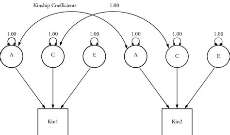 A Univariate Ace Model Download Scientific Diagram