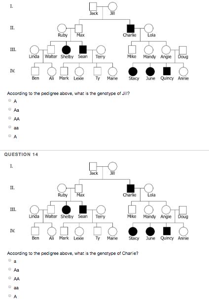 Solved Genetics Questions Attempt Only If You Are Certain Chegg Com