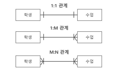 CS 9 데이터베이스 기본 용어