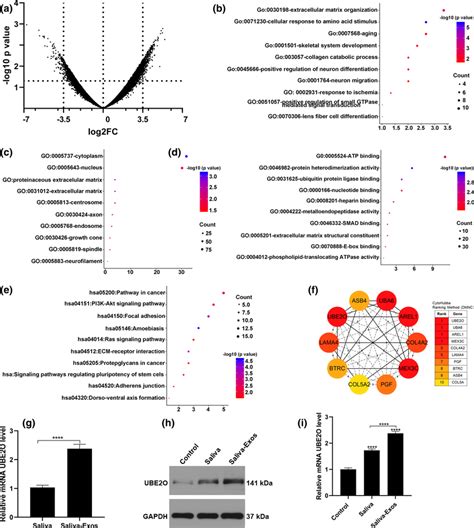 Ube2o Is The Hub Gene On Saliva Exos Upregulated Genes A Valcano Plot