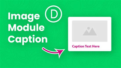How To Show Custom Post Types By Taxonomies In The Divi Blog Module