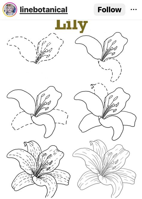 How To Draw A Lily Step By Step Pictures Artofit