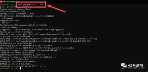在windows系统上安装并且使用zsh windows可以使用bash shell本地运行ubuntu和其他流行的li 掘金