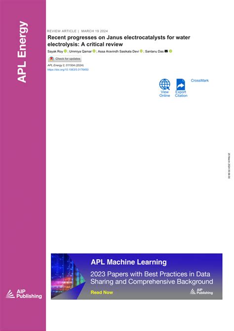 Pdf Recent Progresses On Janus Electrocatalysts For Water Electrolysis A Critical Review
