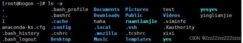 linux文件管理 查看 linux 查看文件目录 csdn博客