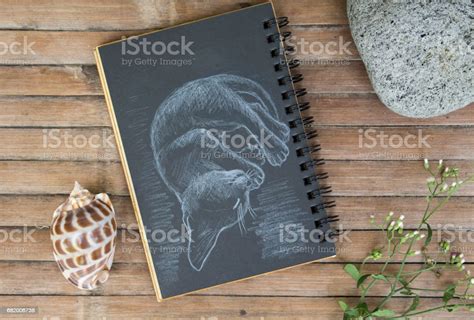 잠자는 키티 손으로 그린 그림입니다 검은 종이에 흰색 분필에 의해 젊은 고양이 검은색에 대한 스톡 사진 및 기타 이미지 검은색 고양이 새끼 공예 Istock