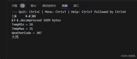 Platformioesp32s3学习：通过wifi与和风天气api获取指定地点的天气情况并显示esp32 和风天气 Csdn博客
