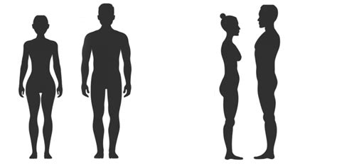 Gender V Sex Why Female Matters