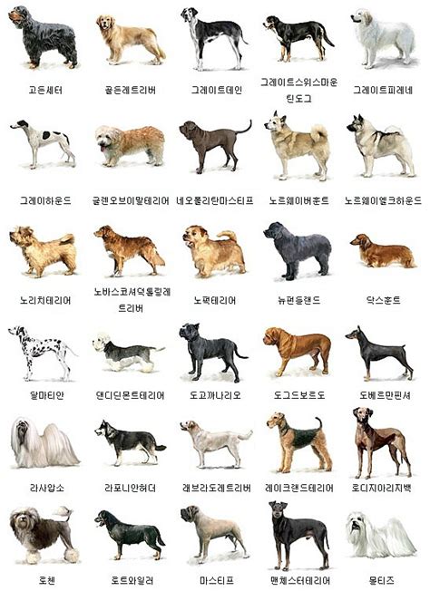 개 종류 150종 한번에보기 네이버 블로그