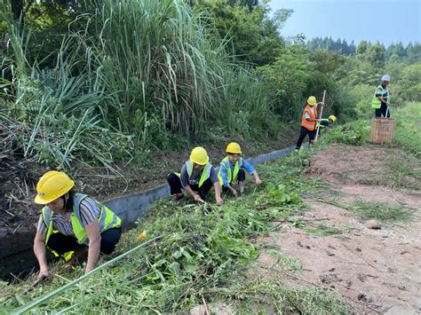 四川乐至：大力实施以工代赈项目 助力乡村全面振兴 新华网