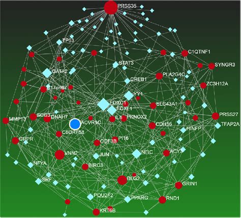 The Gene Tfs Interaction Network Obtained From Jaspar Database Download Scientific Diagram