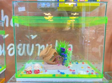 ตู้ปลา 10” รับประกันรั่วซึม 10ปี Th