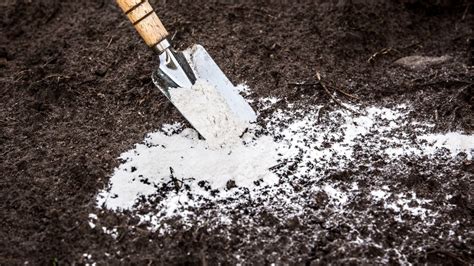 Calcium In Soil Uses And Signs Of Deficiency