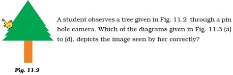 Ncert Exemplar For Class 6 Science Chapter 11 Indcareer Schools