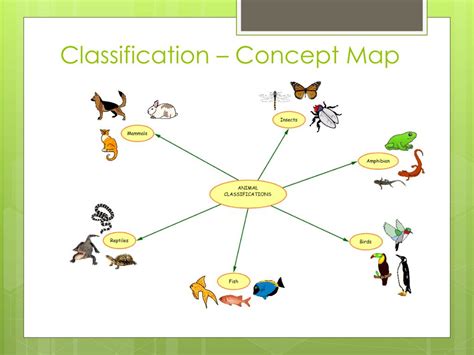 Ppt Patterns Of Organization Powerpoint Presentation Free Download