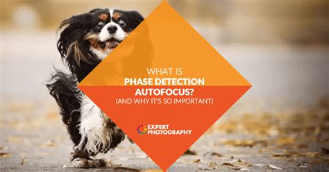 What Is Phase Detection Autofocus And Why Its So Important
