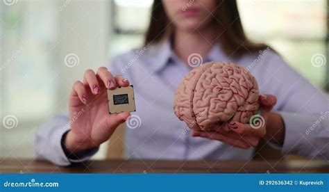 Person Holds Tiny Computer Chip In Plastic Model Of Human Brain Stock Footage Video Of