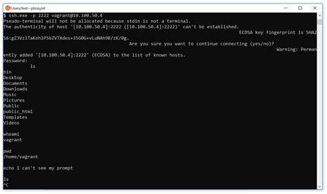 Using Ssh Exe From Wsl Does Not Work Properly Issue Powershell Win Openssh Github
