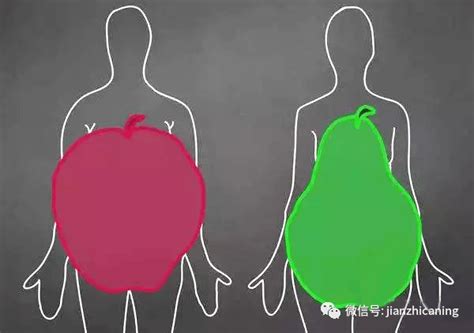 减肥怎么吃怎么喝有一样东西千万别碰它代谢的时间是脂肪的7倍 运动 蓝豆豆 维生素