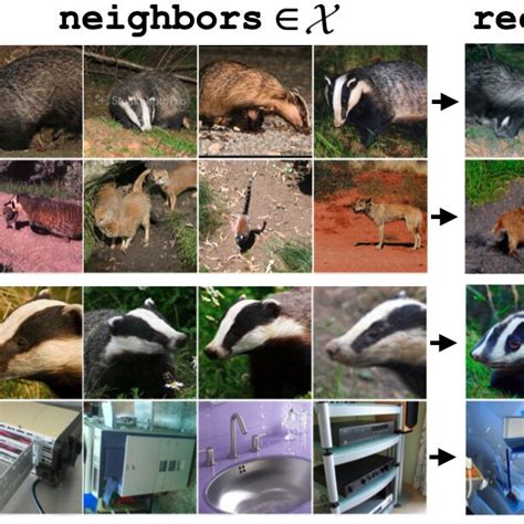 Visualization Of Déjà Vu Memorization Beyond Class Label Both Ssla And Download Scientific