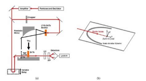 Schematic Diagram Of The Experimental Setup For Measuring The Gouy Download Scientific Diagram