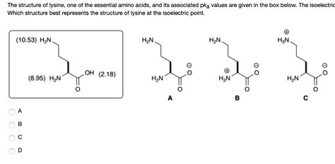 Solved The Structure Of Lysine One Of The Essential Amino Acids And Its Associated Pka Values