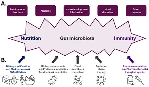The Interplay Of Nutrition The Gut Microbiota And Immunity And Its