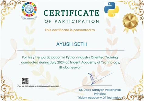 ayush seth on linkedin python pythontraining industryorientedtraining professionaldevelopment…