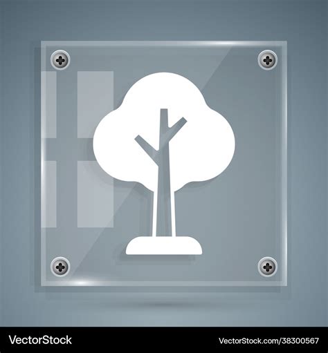 White Tree Icon Isolated On Grey Background Vector Image