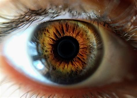 The Reality Of Attention Metrics Eye Tracking And Gaze Prediction