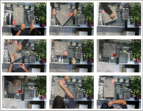 Sample Images From Dataset Download Scientific Diagram