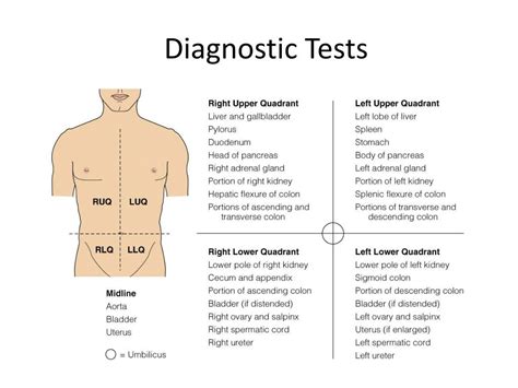 PPT Assessment Of Digestive And Gastrointestinal Function PowerPoint Presentation ID 2211695