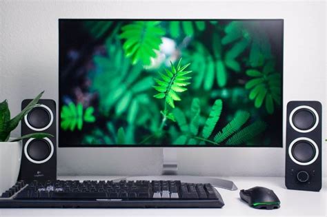 What Size Is My Monitor How To Measure Monitor Size