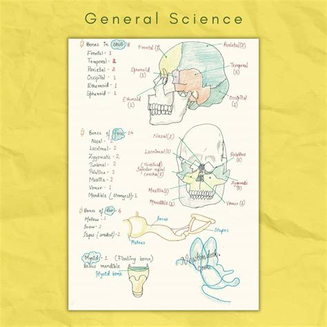 General Science Notes Buy Handwritten General Science Notes