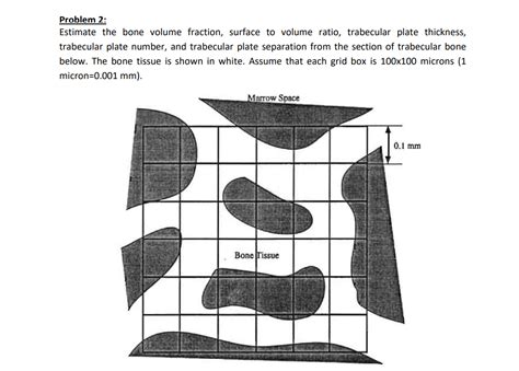 Solved Estimate The Bone Volume Fraction Surface To Volume