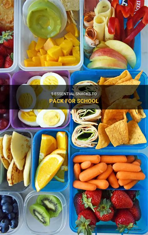 5 Essential Snacks To Pack For School Quartzmountain