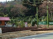 舞鶴自然文化園のツバキ園